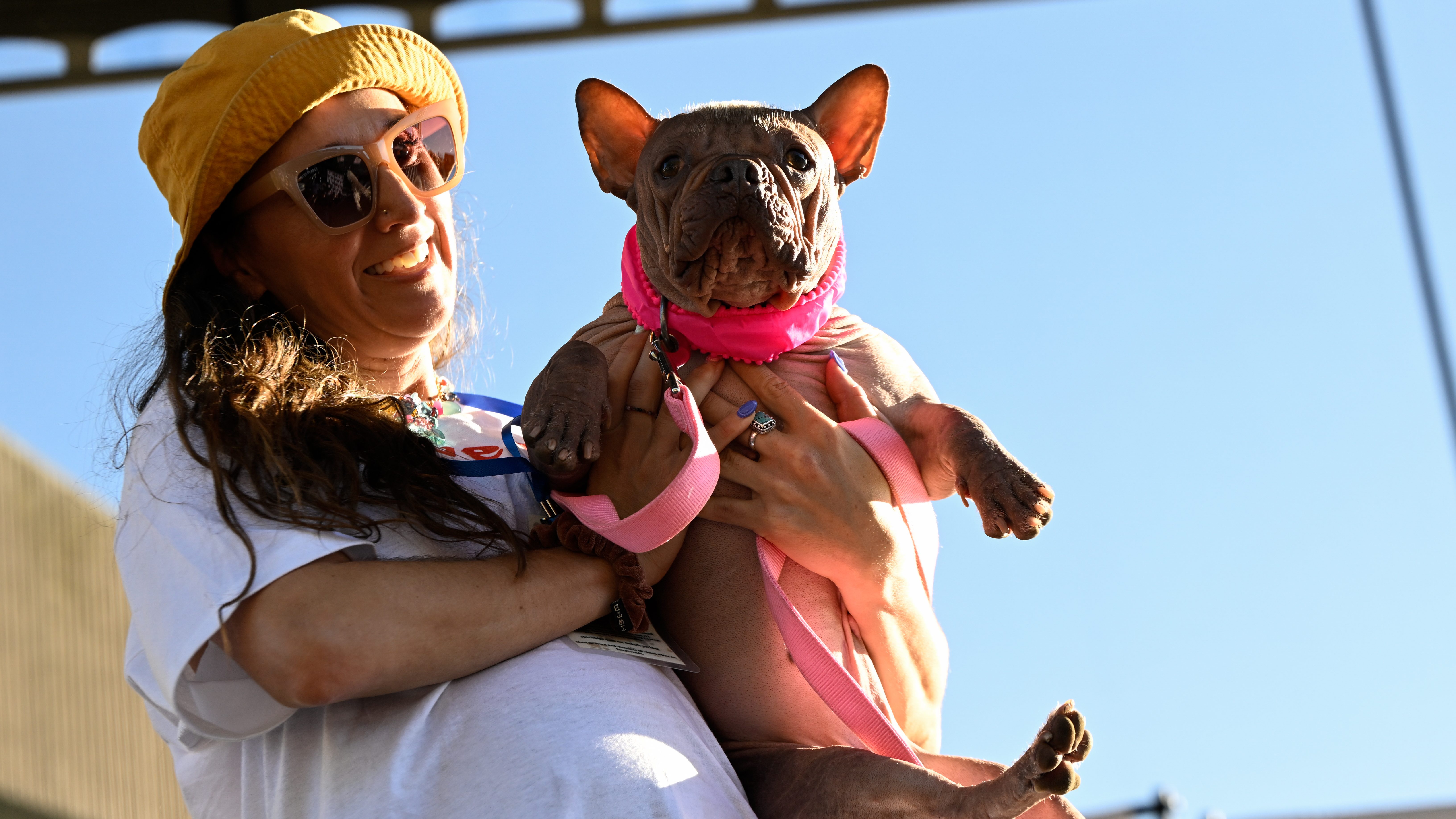 Meet Petunia, winner of the 2025 World’s Ugliest Dog Contest – NBC Bay Area