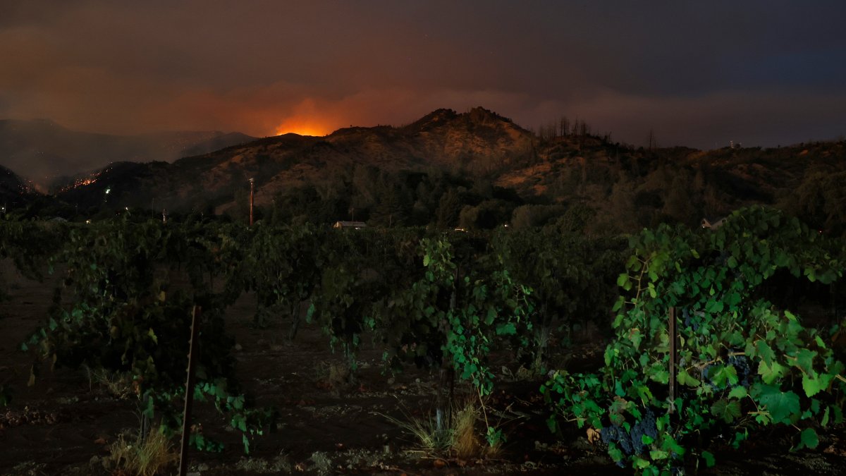 Fireplace ashes tied to Pickett Fire probe – NBC Bay Area