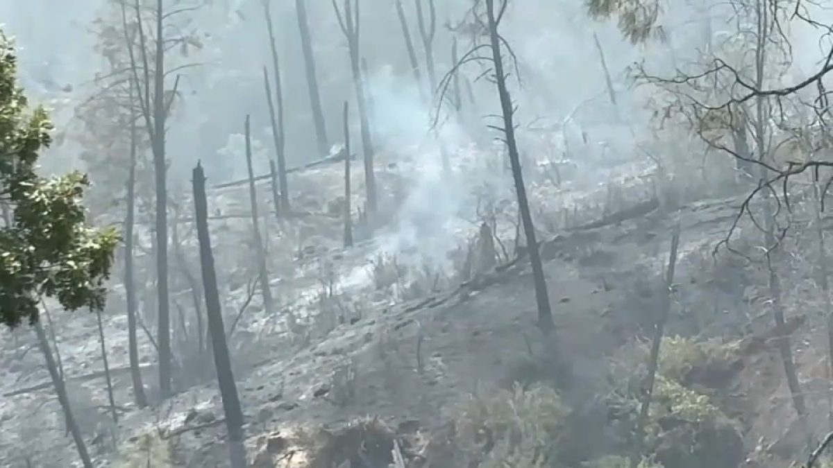 Pickett Fire in Napa County destroys 5 structures – NBC Bay Area