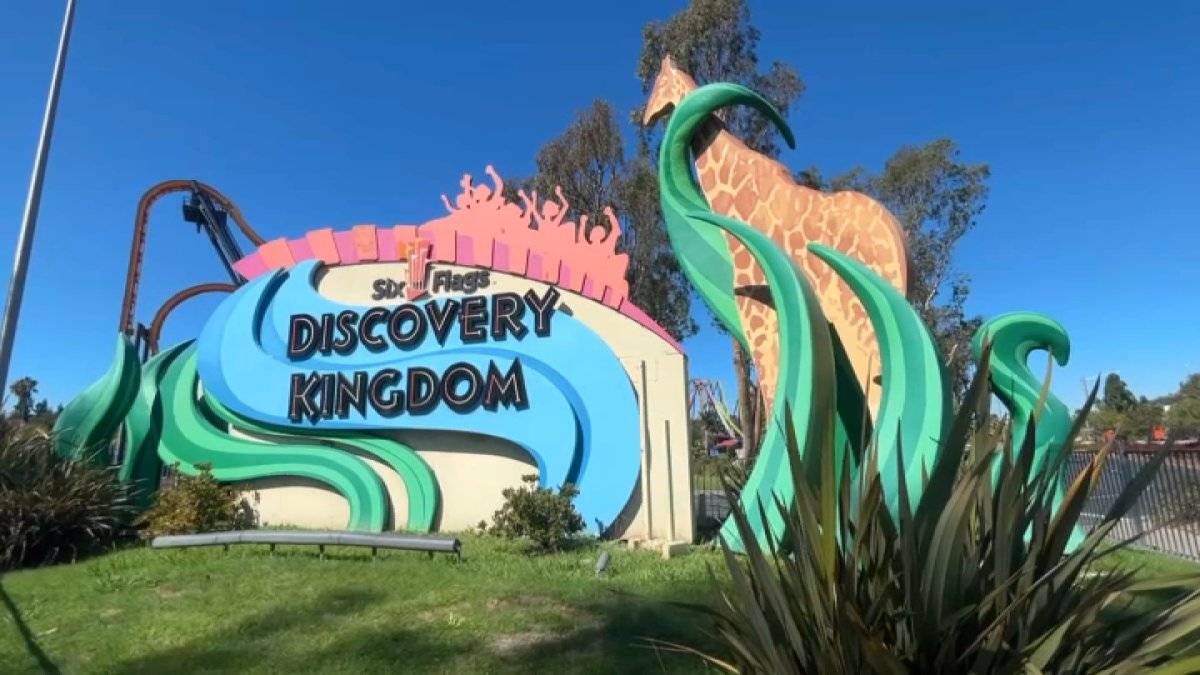 Fist fights at Six Flags Discovery Kingdom in Vallejo – NBC Bay Area