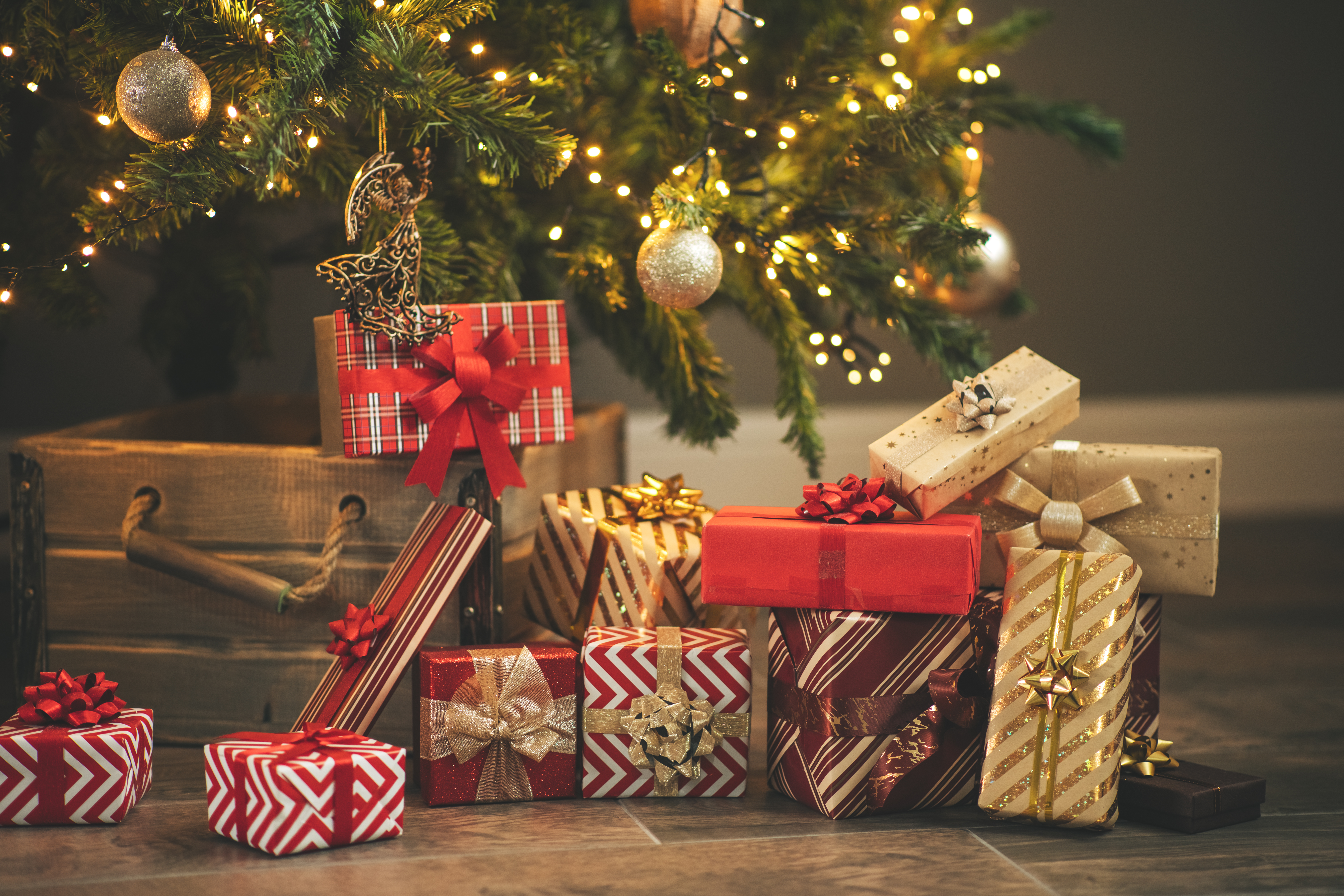 Bay Area holiday events guide 2025 – NBC Bay Area