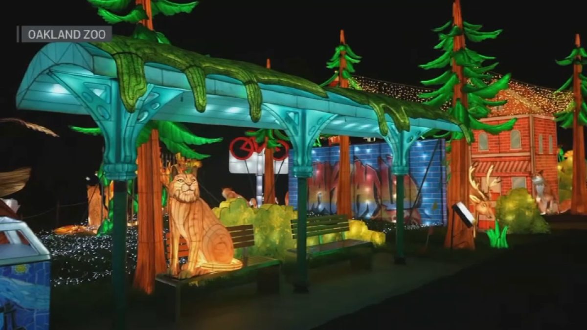 Oakland Zoo’s popular Glowfari festival set to open – NBC Bay Area