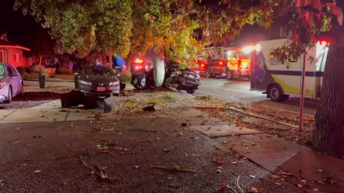 1 dead after car slams into tree in San Jose – NBC Bay Area