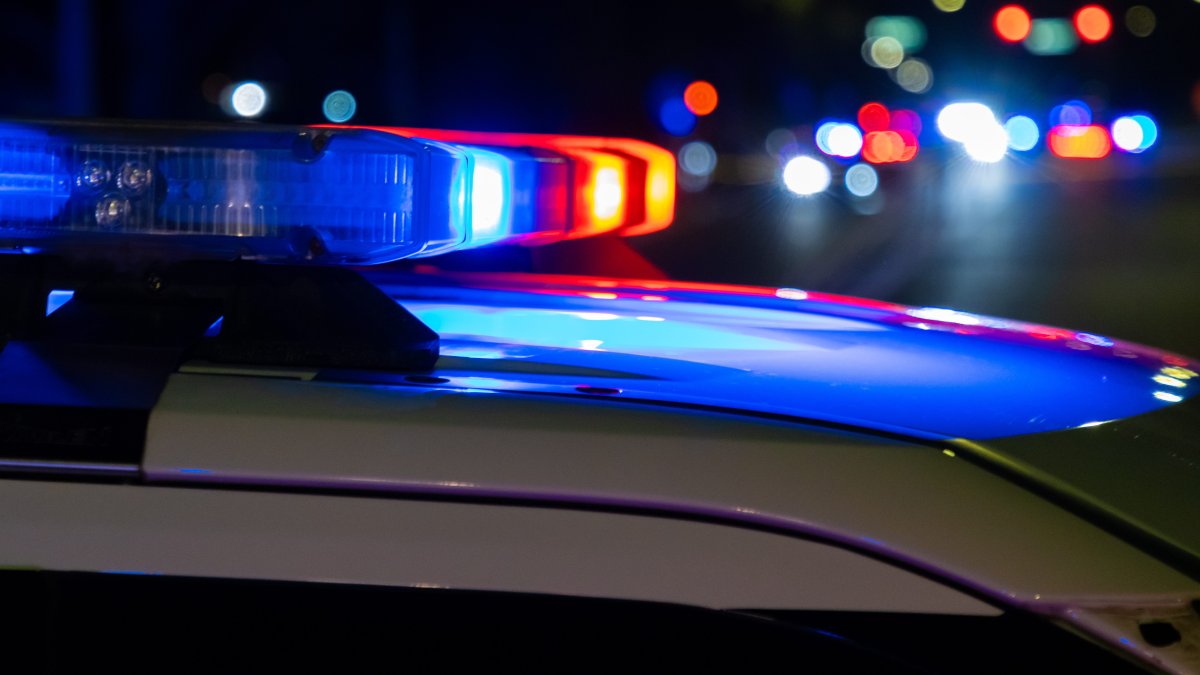 Tennessee police responding to dog mauling find man, infant dead – NBC ...