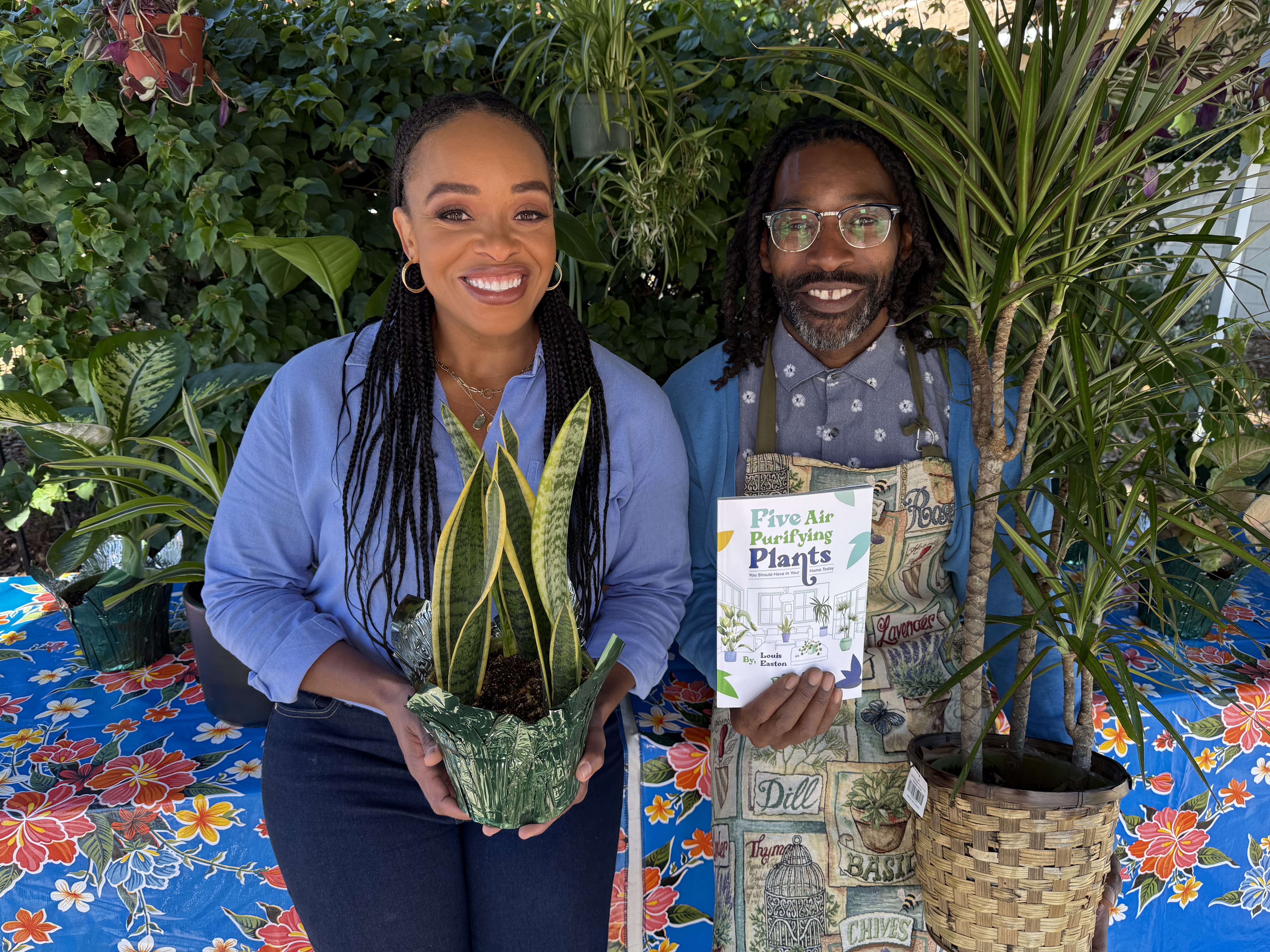 Discover the must-have plants for your home with L.A.’s Plant Mon – NBC ...