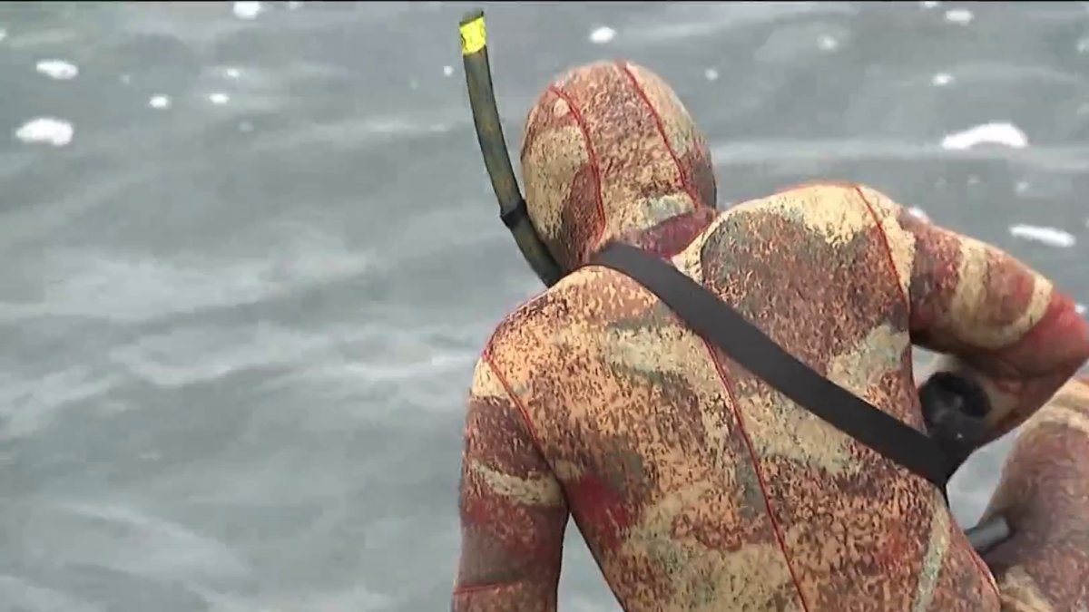 Rescue diver continues search for missing Monterey Bay swimmer – NBC ...