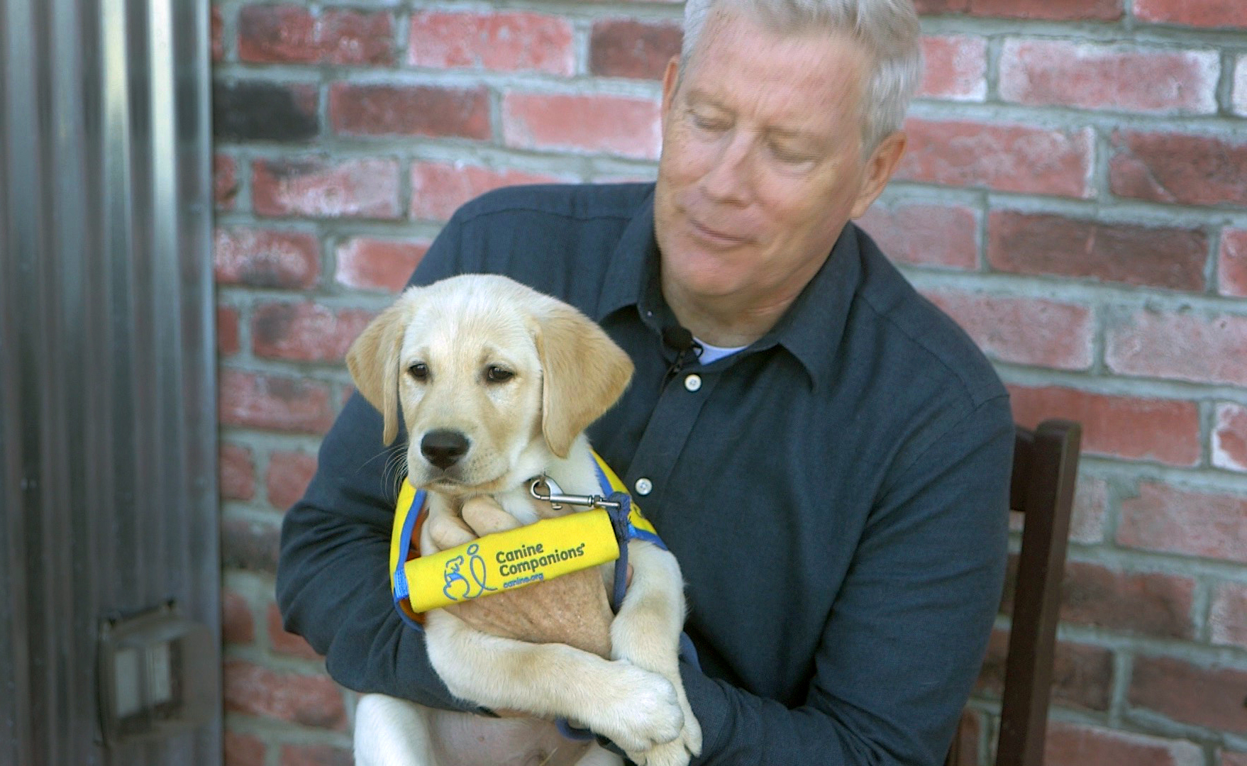 Legendary animator has puppy love for new character – NBC Bay Area