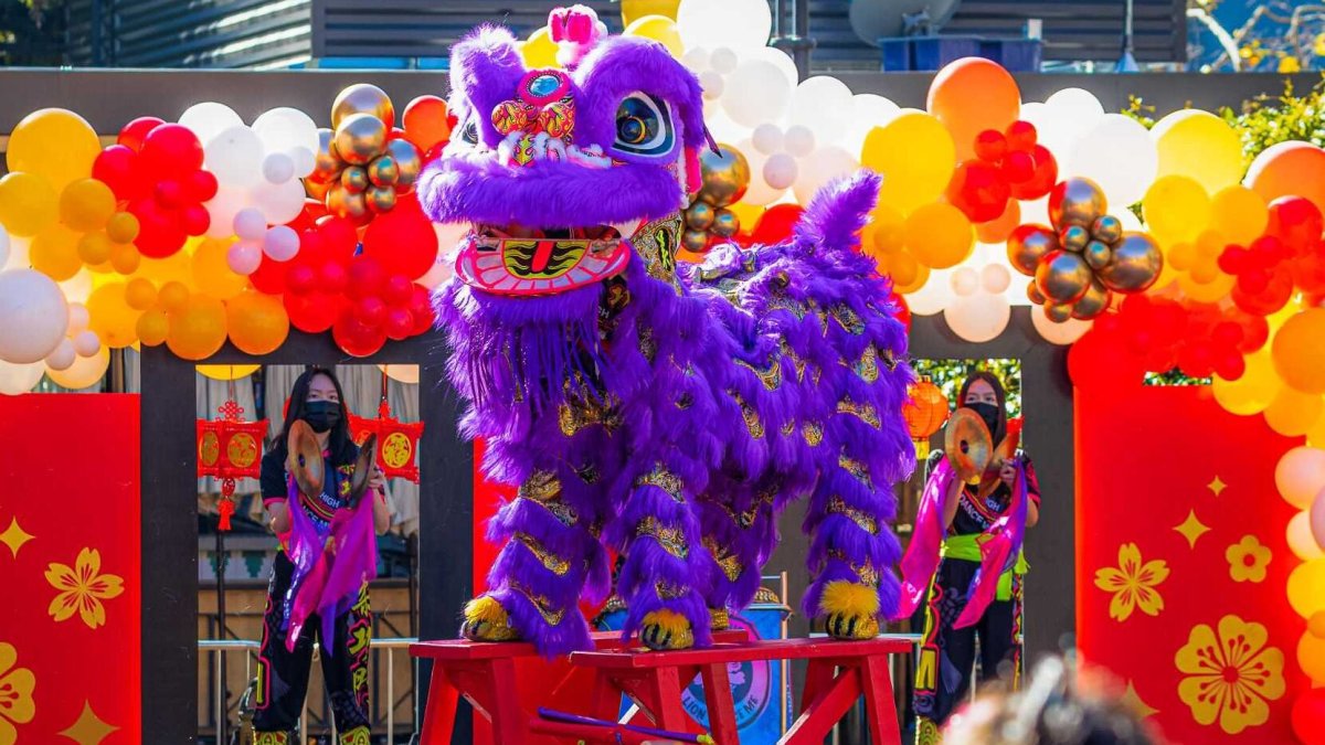 Lunar New Year Celebration – NBC Bay Area