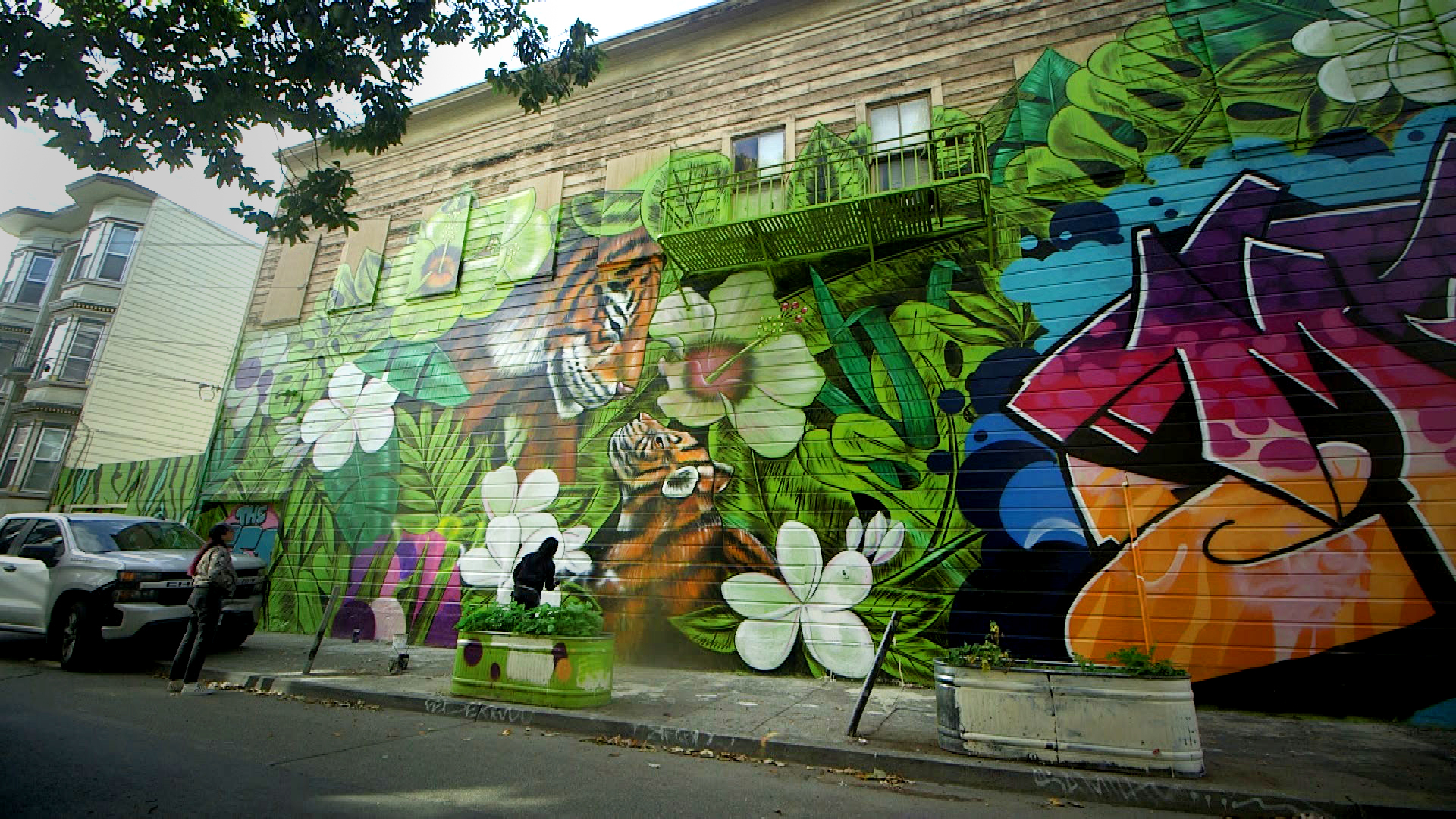 Bay Area mural artist bringing nature to barren walls – NBC Bay Area