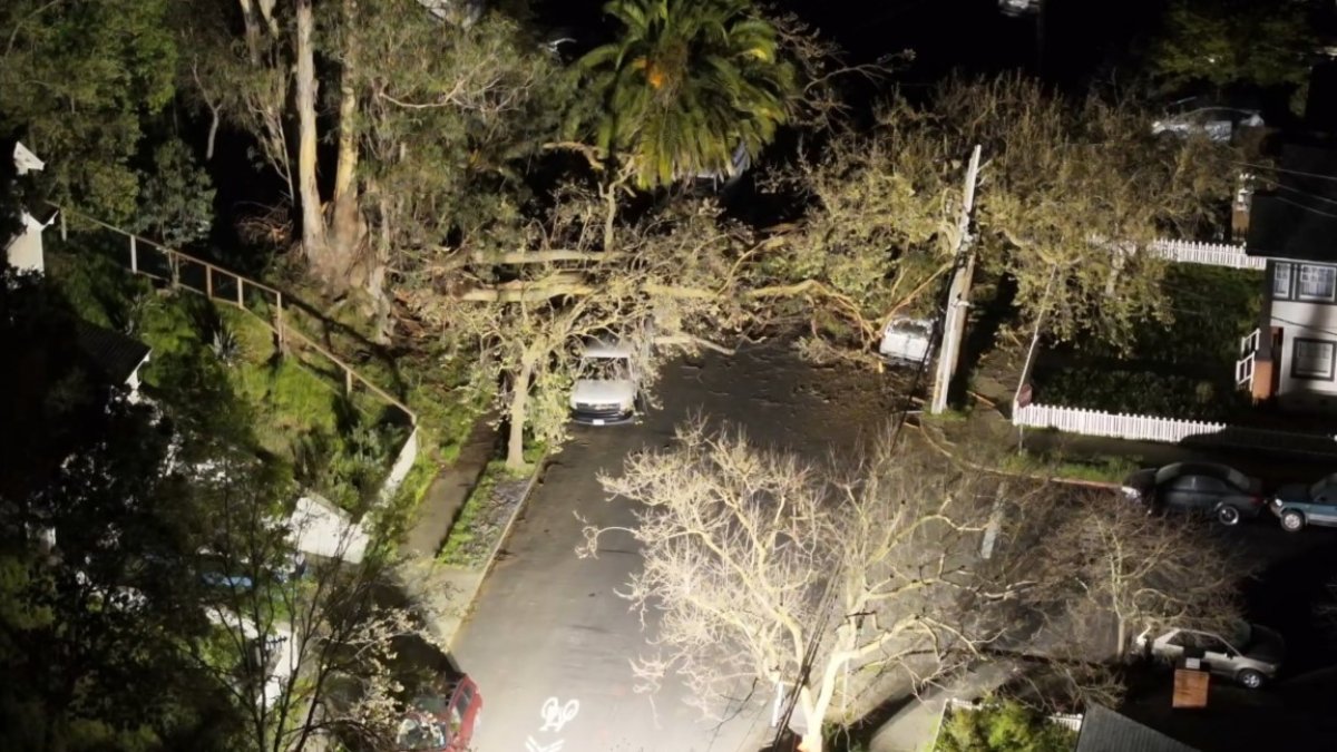 Power outage, road blocked in San Rafael due to fallen tree – NBC Bay Area