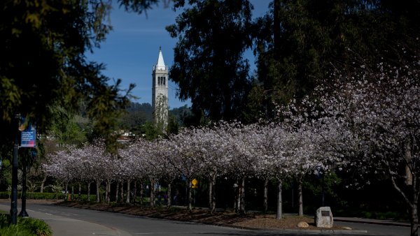 Historical Native American remains found at UC Berkeley – NBC Bay Area