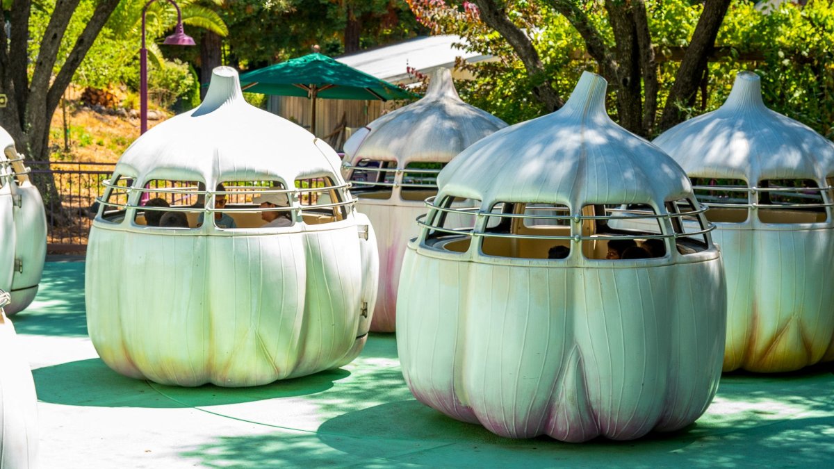 Spend National Garlic Day spinning inside a gargantuan garlic bulb in ...