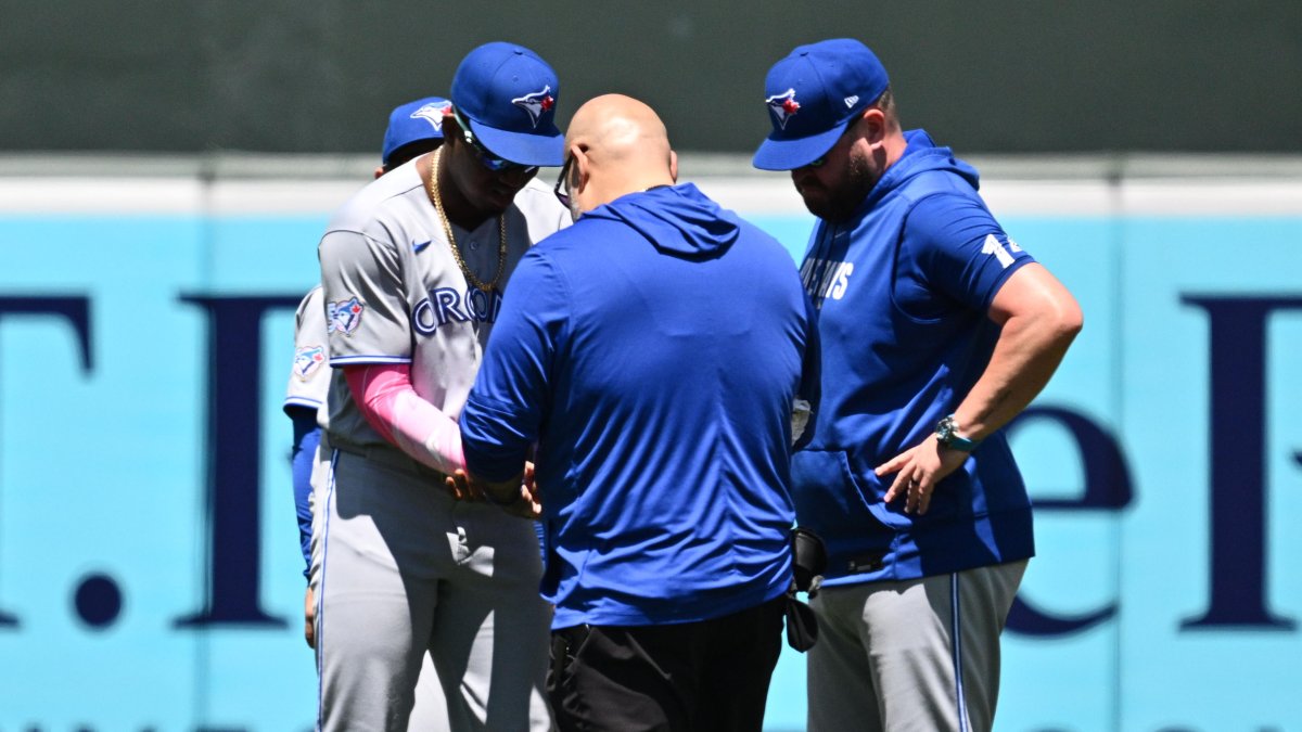 Jays OF Sánchez injures wrist on ball thrown by kid from stands – NBC ...