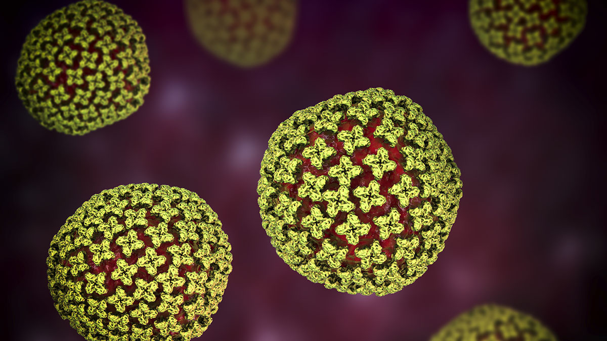 Hantavirus Cruise Outbreak Doctor Discharged Cdc Updates Isolation