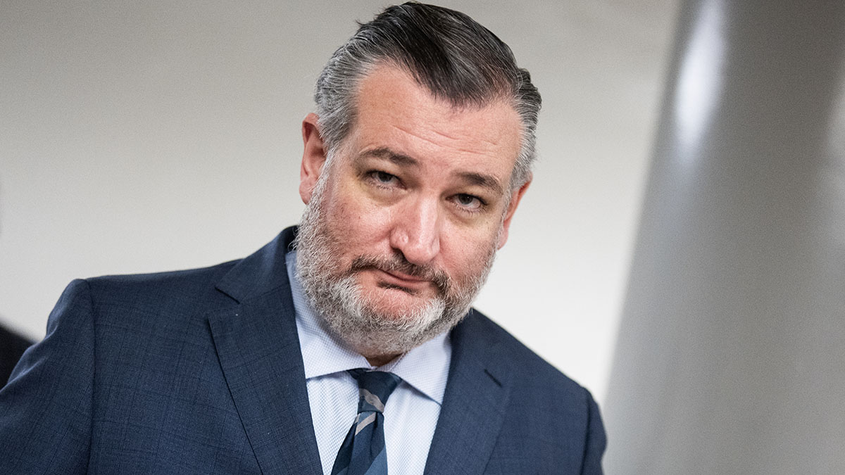 Ted Cruz says GOP senators were ‘screaming’ at Todd Blanche during ...