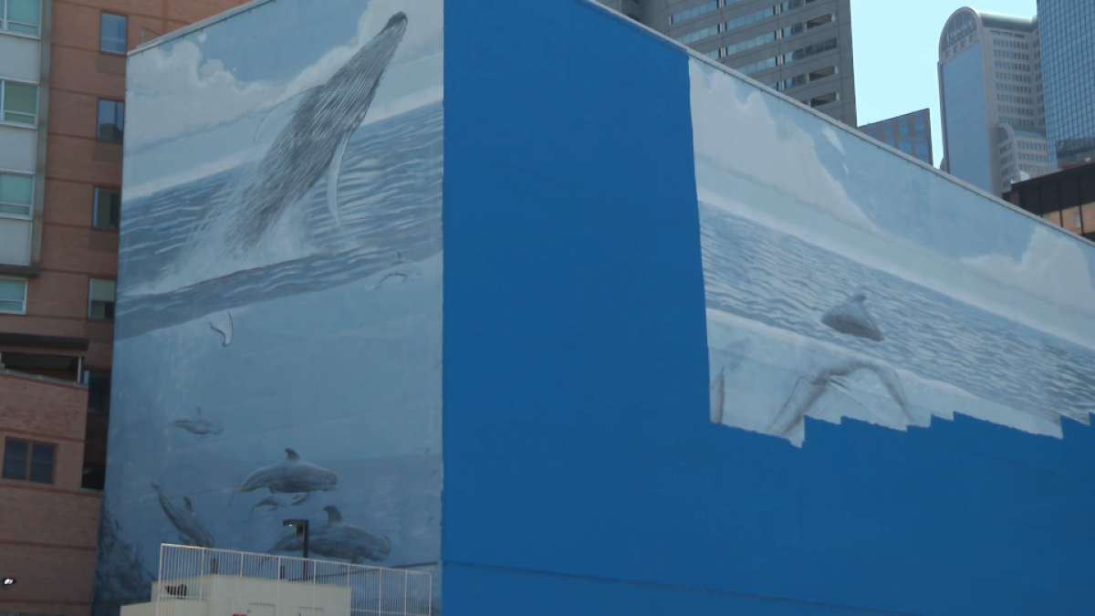 Whale mural in Dallas painted over for World Cup art – NBC Bay Area
